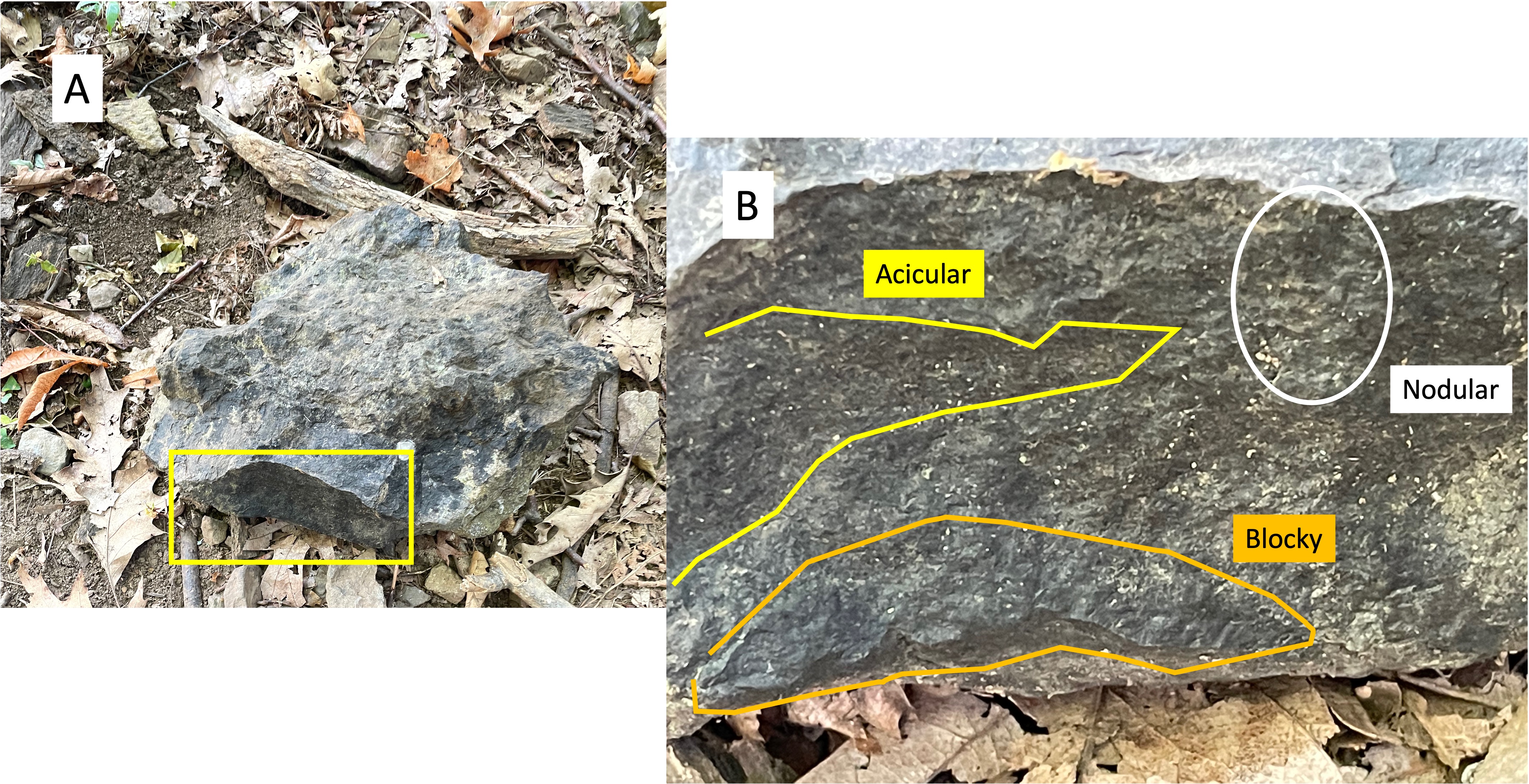 Shenandoah National Park: Precambrian Volcaniclastic Rocks | Timothy R ...